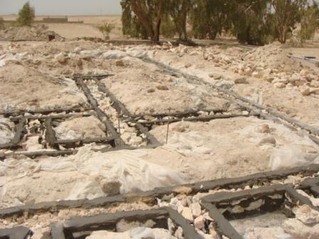 students Scout camp in Habbaniyah | WAHJ ALAYN